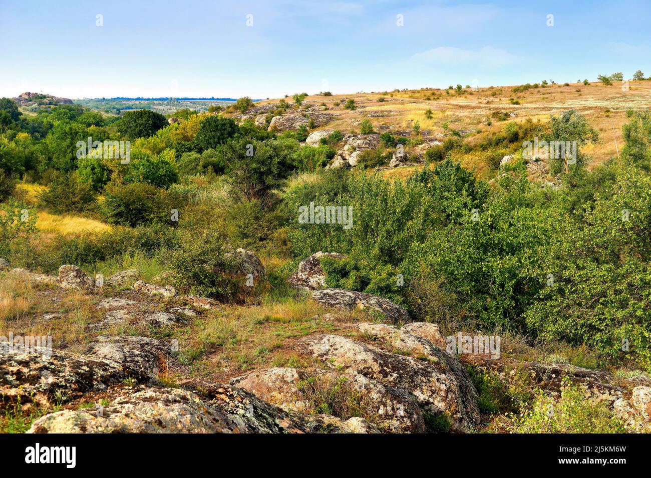 Wild rocky plain with a ravine overgrown with trees Stock Photo - Alamy