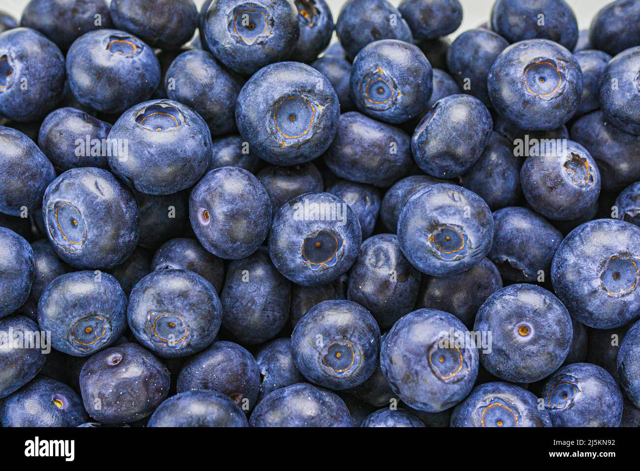 Big wild berry blueberry close-up. Background of fresh ripe sweet ...