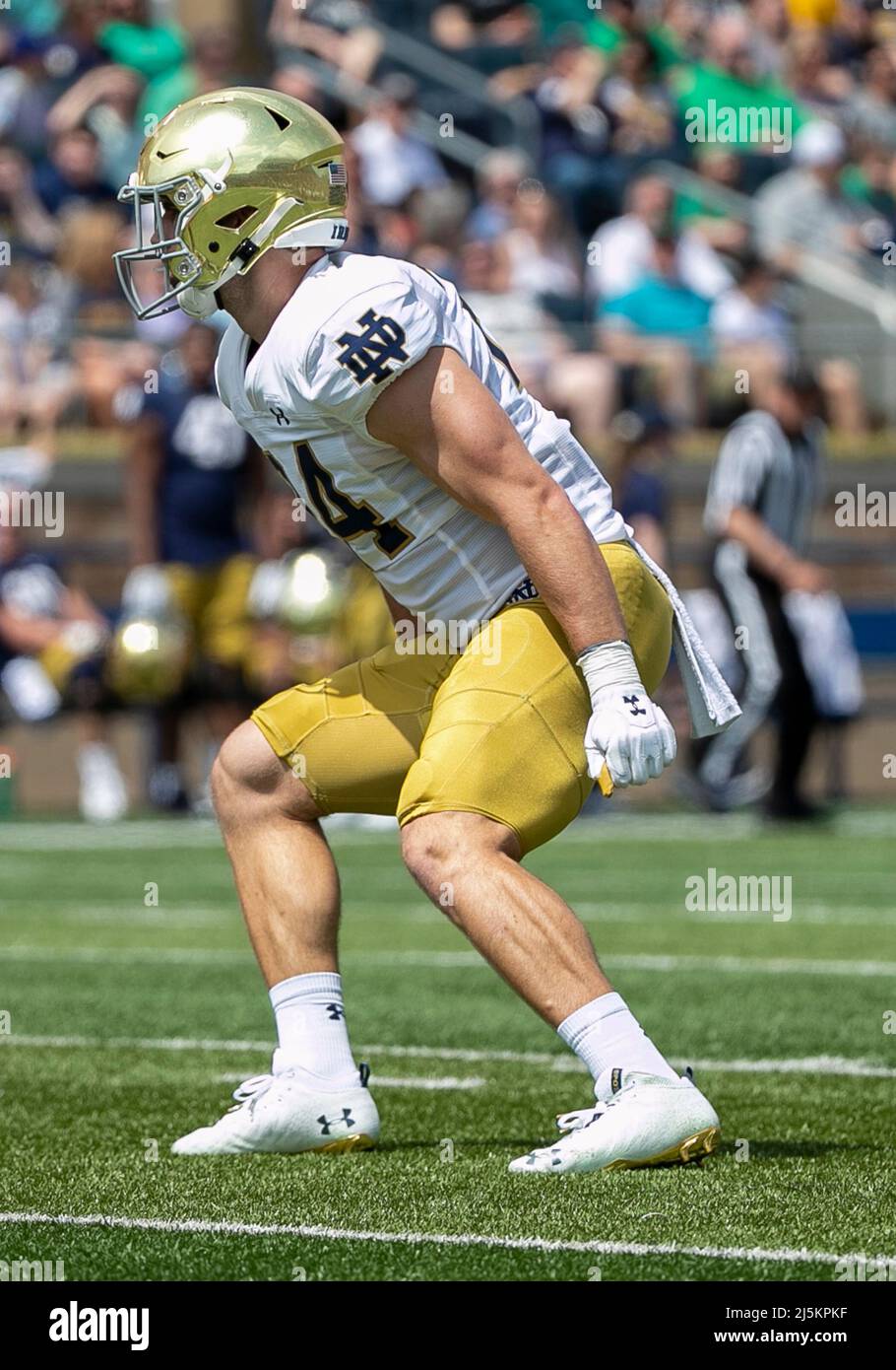 April 23, 2022: Notre Dame linebacker Jack Kiser (24) during the Notre ...