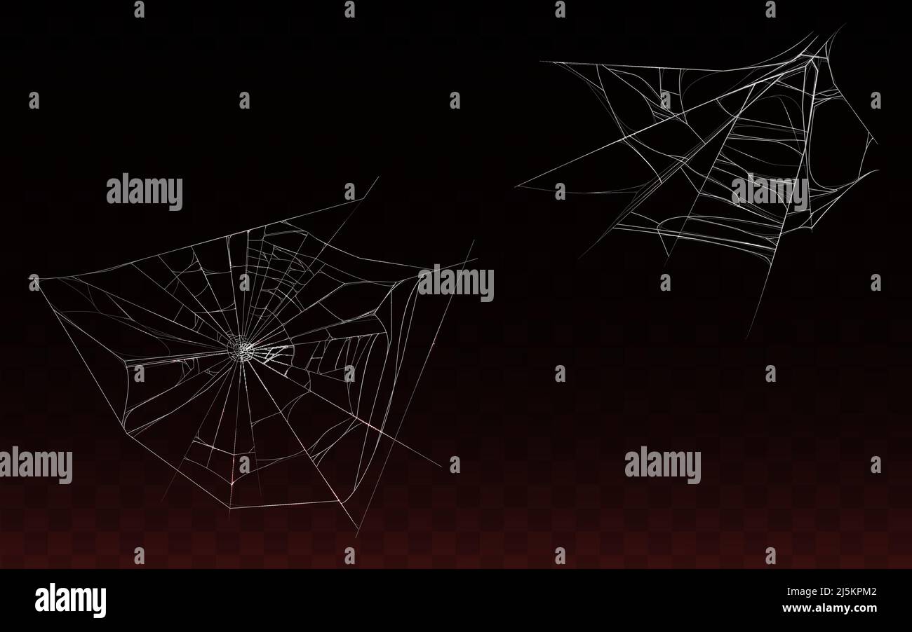 Vector collection of realistic cobweb, spider web isolated on dark ...