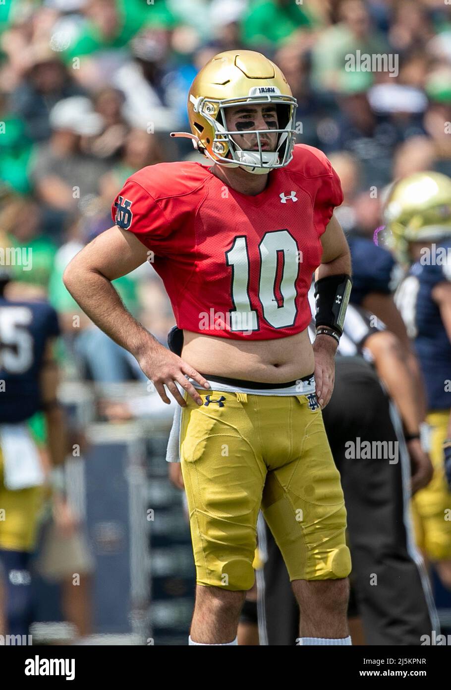 All Things SkunkBear | Page 400 | Irish Envy | Notre Dame Football ...