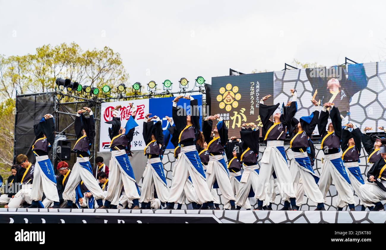 Japanese team of Yosakoi dancers dancing in yukata tunics and holding ...