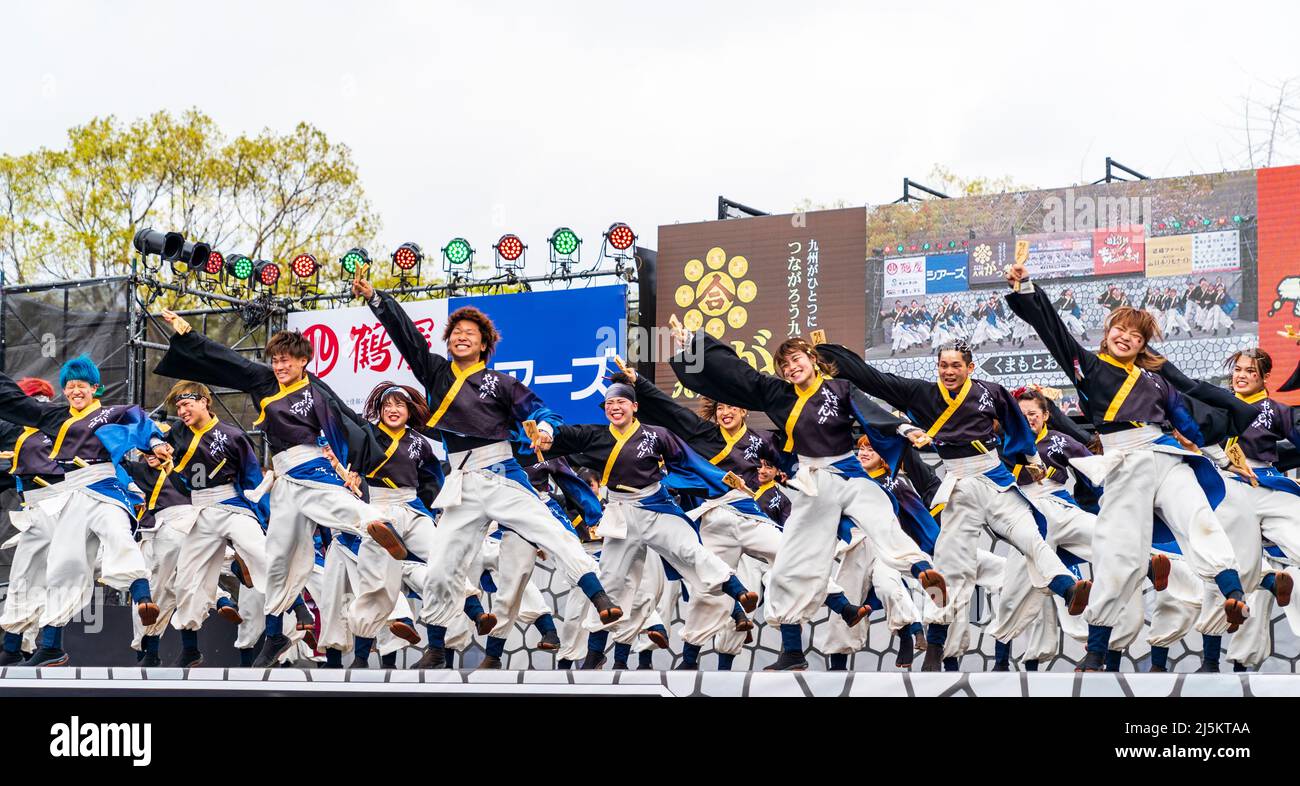Japanese team of Yosakoi dancers dancing in yukata tunics and holding ...