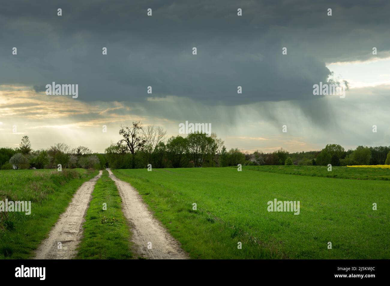 Dark rain cloud over the green field by the road Stock Photo - Alamy