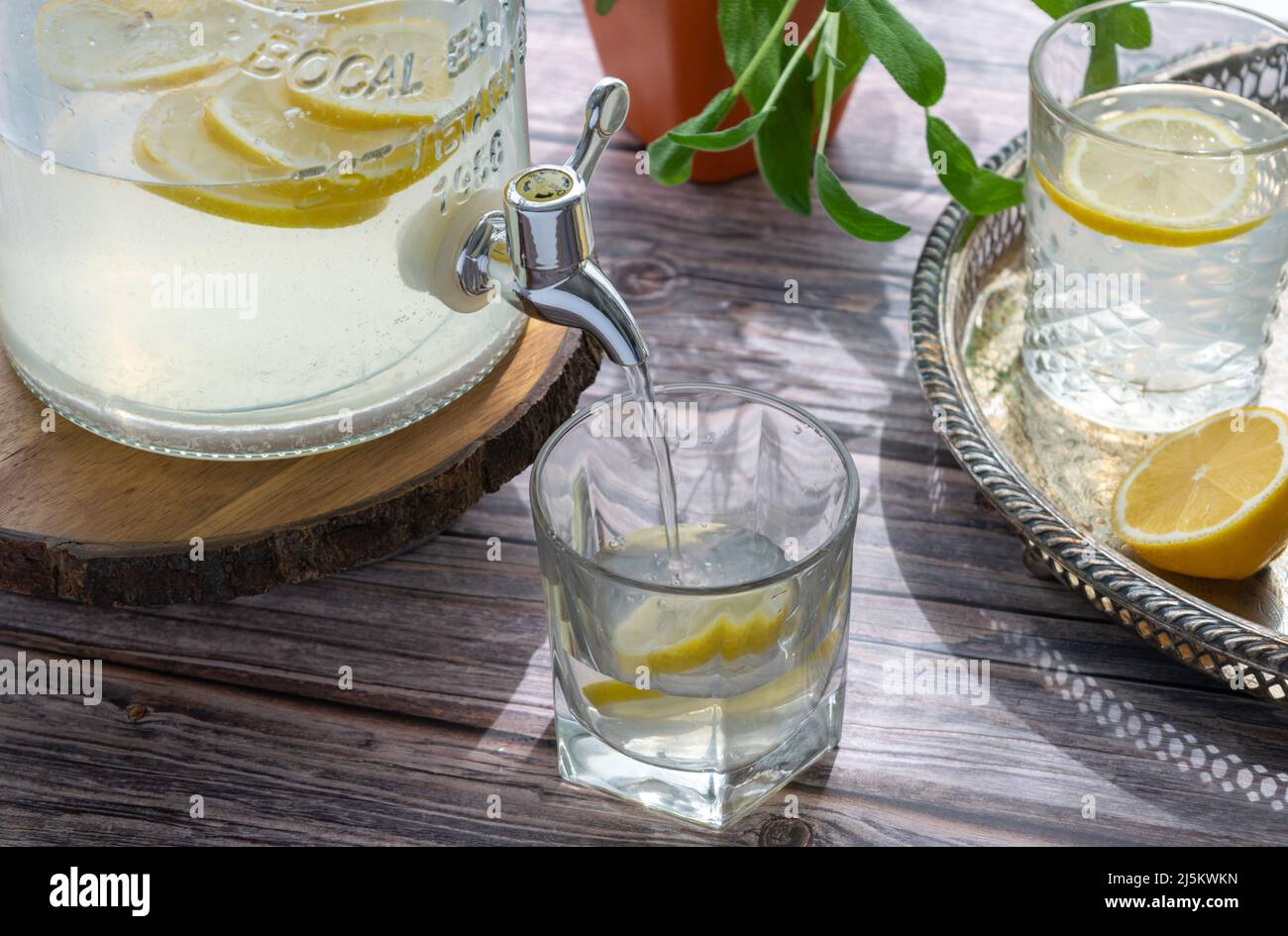 Lemonade being served at an outdoor event Stock Photo - Alamy