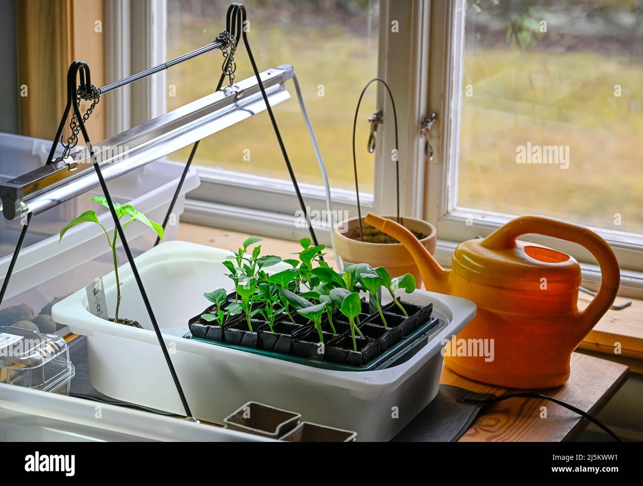 Pre cultivating hi-res stock photography and images - Alamy