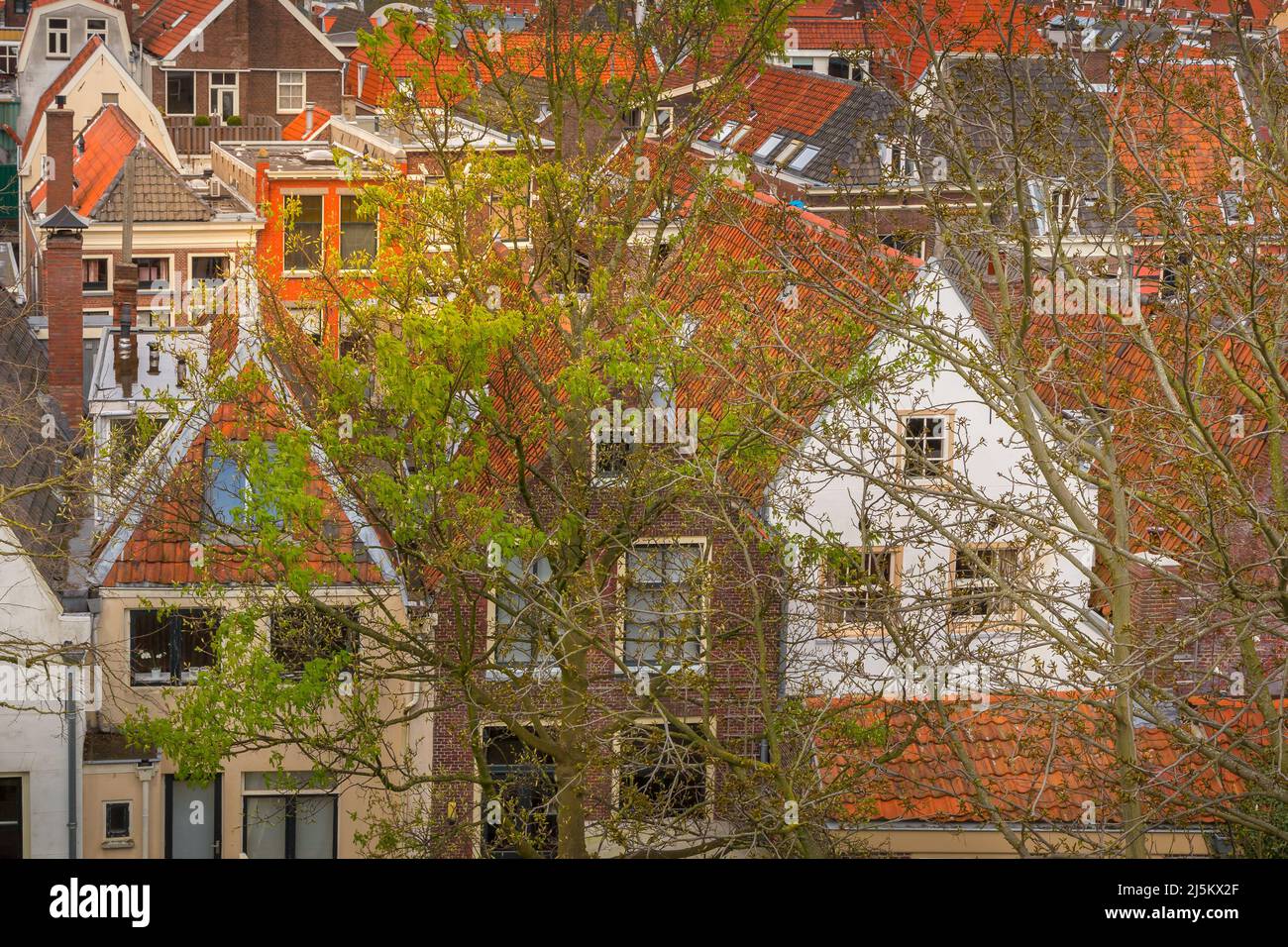 Delft, Netherlands aerial panoramic downtown view with traditional ...
