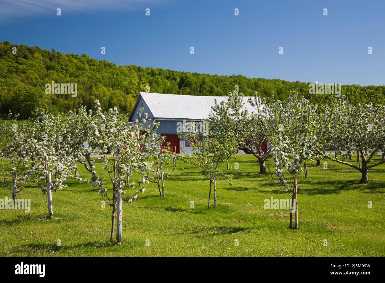 Apple barn apple orchard hi-res stock photography and images - Alamy
