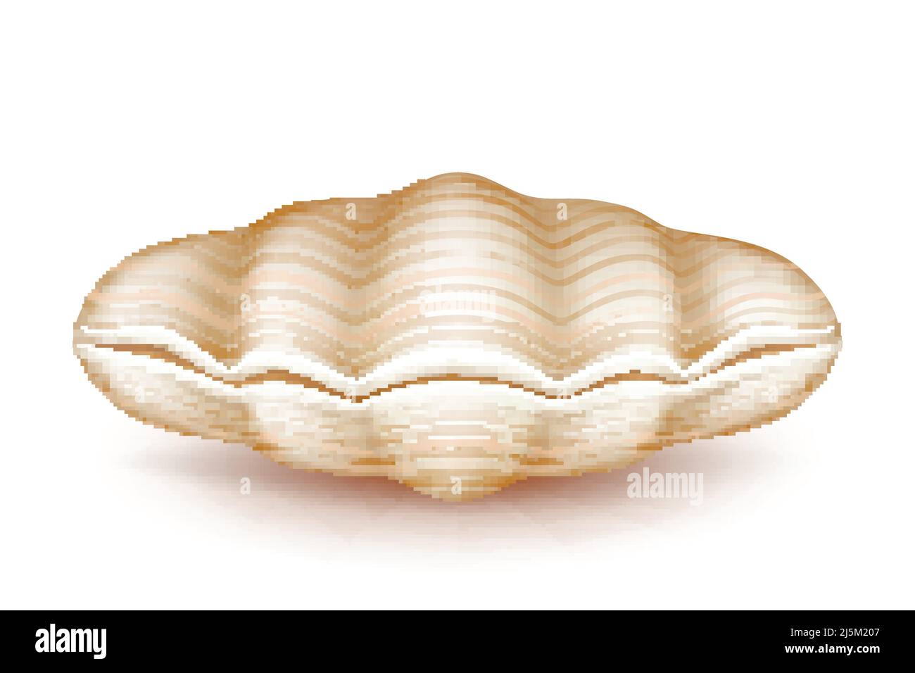 Clamshell container Stock Vector Images - Alamy