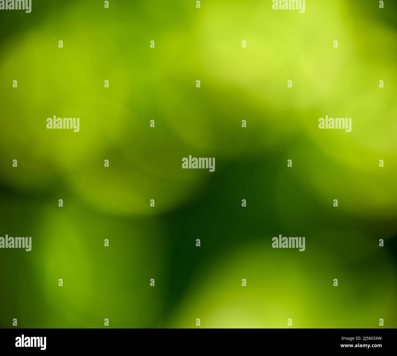 Bokeh green background hi-res stock photography and images - Alamy