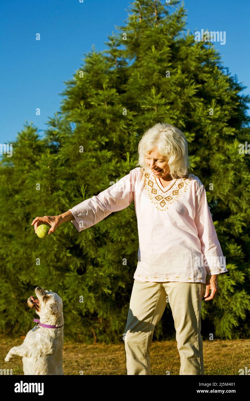 Cockapoo dog hi-res stock photography and images - Alamy