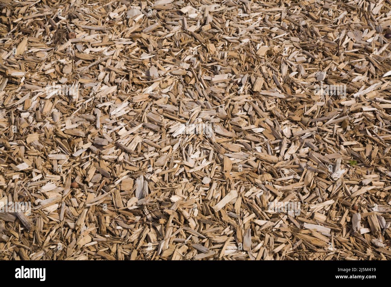 Wood chips background Stock Photo - Alamy