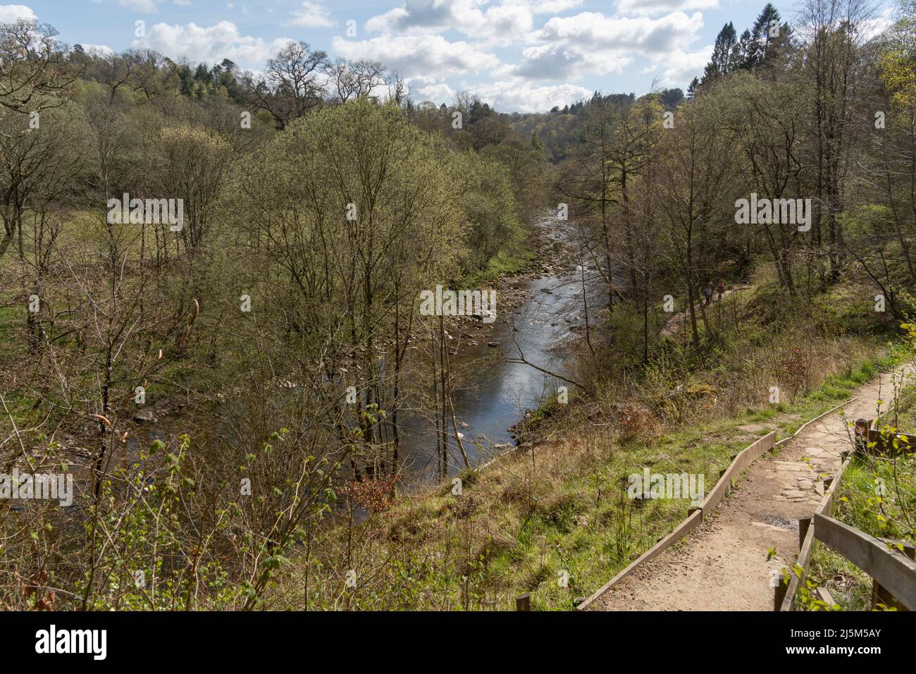 The River Allen, from the path with walkers in the trees. Near Bardon ...