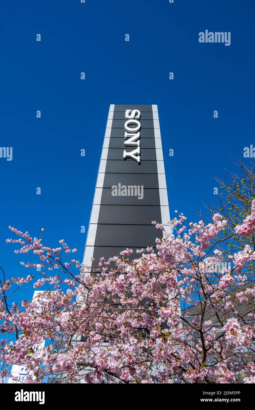 Lund, Sweden - April 22 2022: The Sony sign behind cherry blossom tree ...