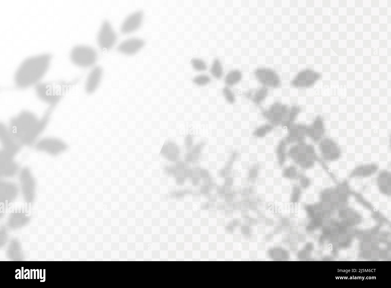 The effect of overlaying shadows.Realistic shadow tropical leaves and ...