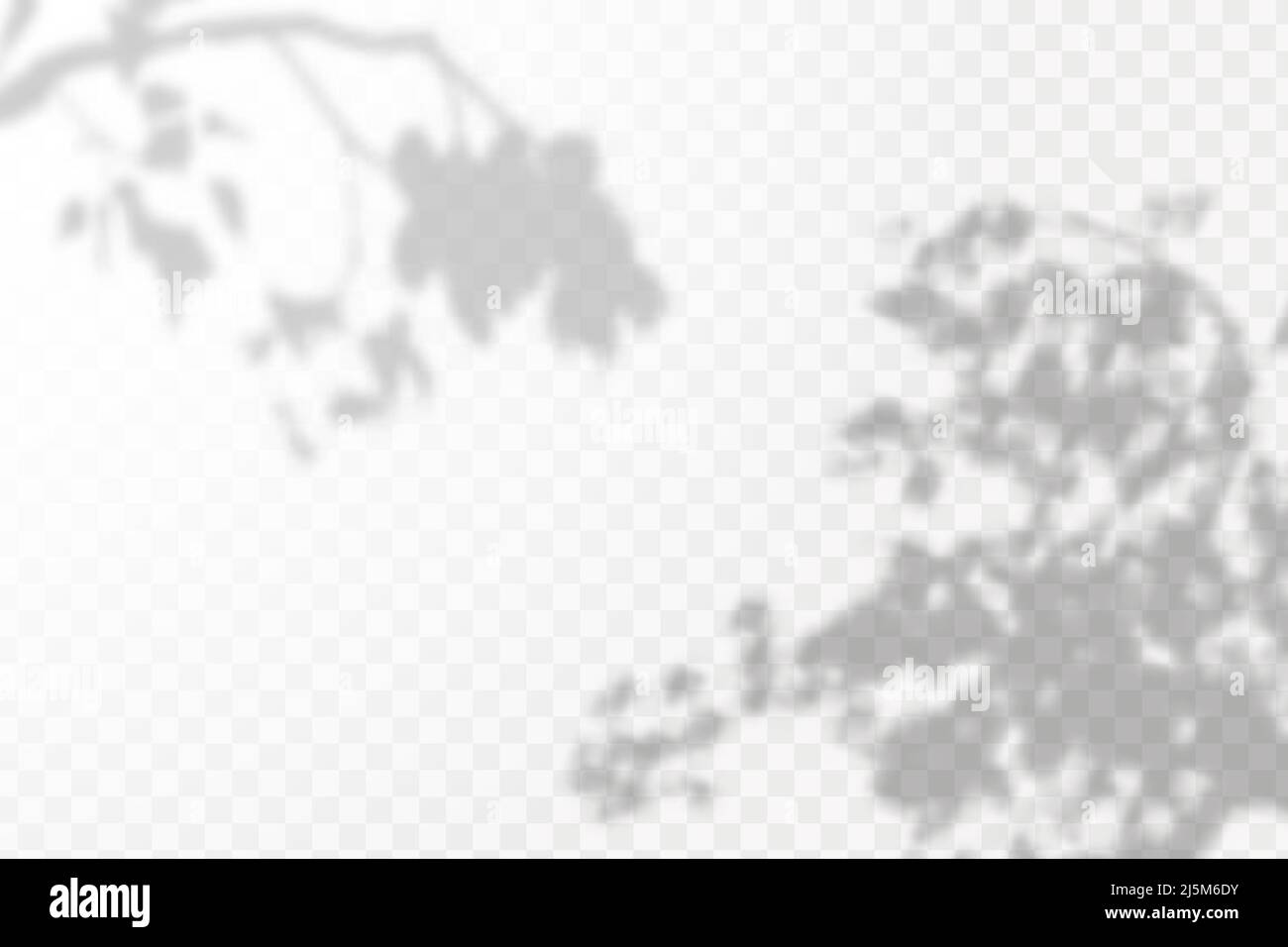 The effect of overlaying shadows.Realistic shadow tropical leaves and ...