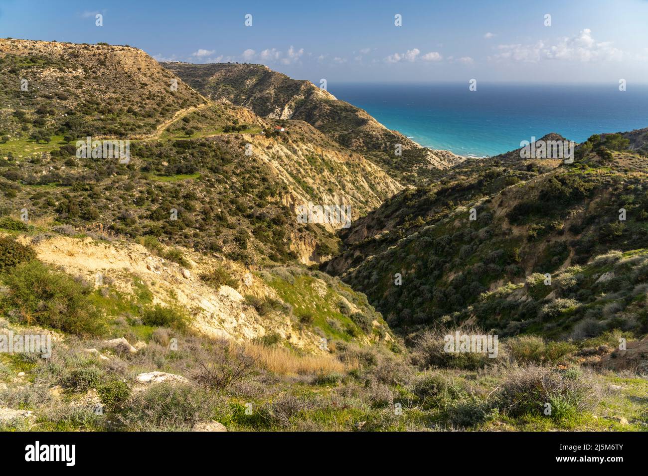 Cape aspro hi-res stock photography and images - Alamy