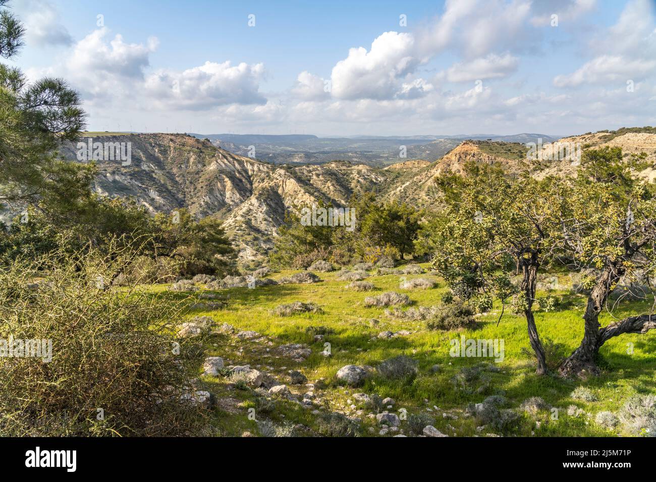 Landschaft am Kap Aspro bei Pissouri, Zypern, Europa | landscape of ...