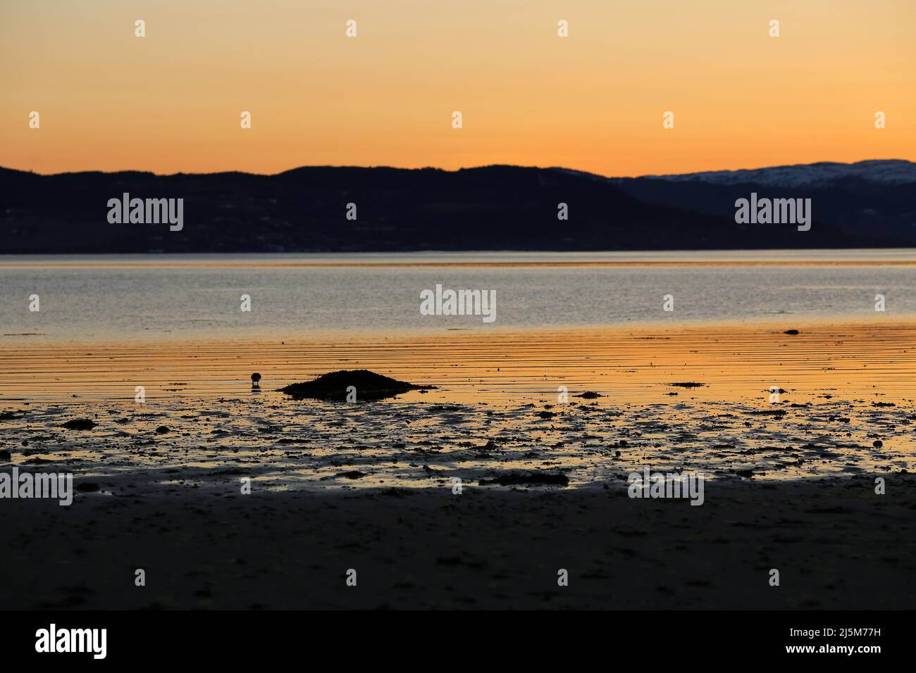 View of the Trondheim fjord and the beach Oesanden, Gaulosen nature ...