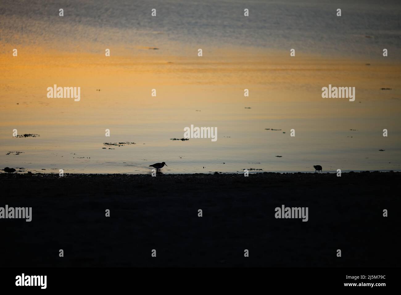 View of the Trondheim fjord and the beach Oesanden, Gaulosen nature ...