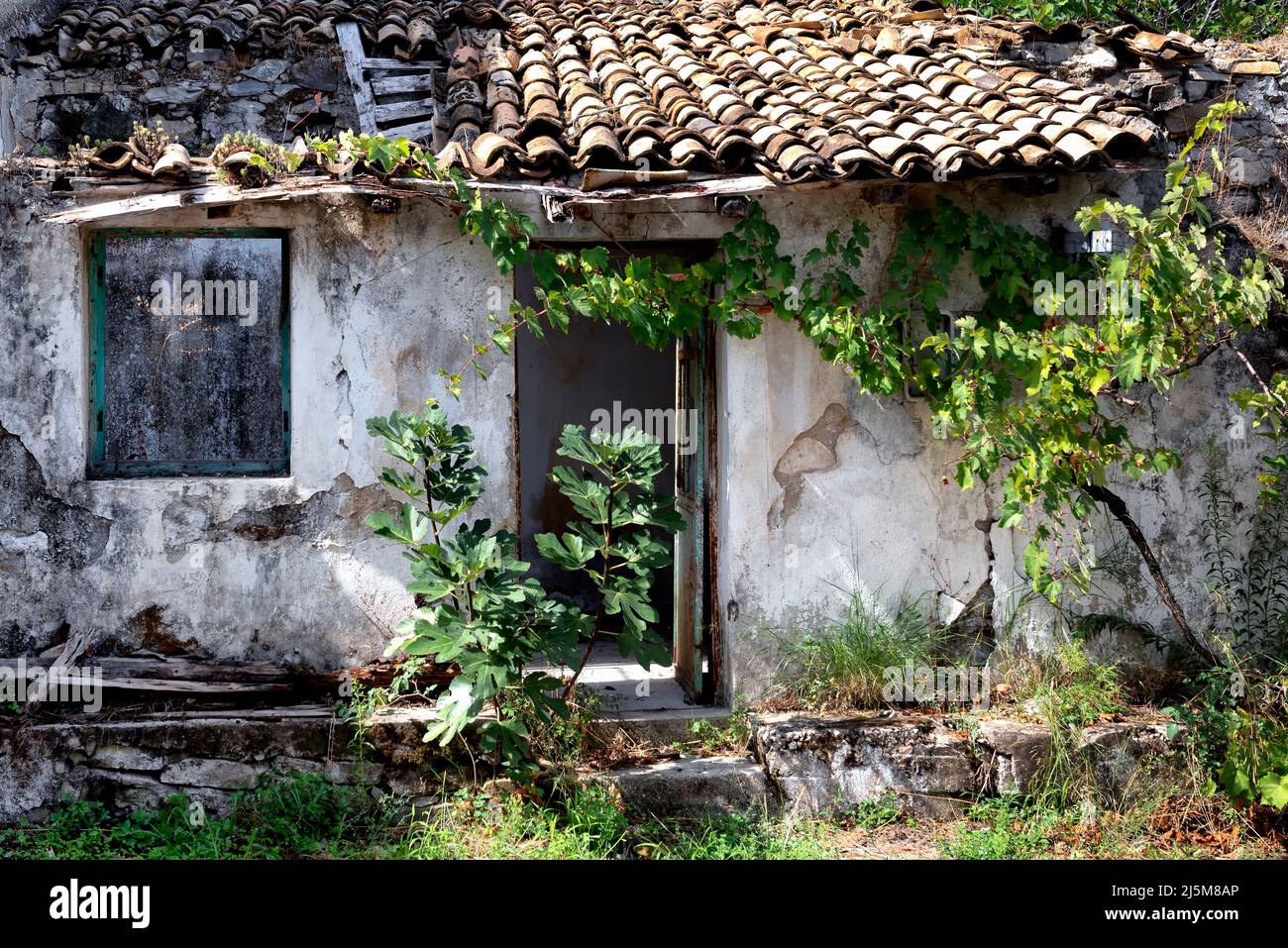 Abandoned old house Stock Photo - Alamy