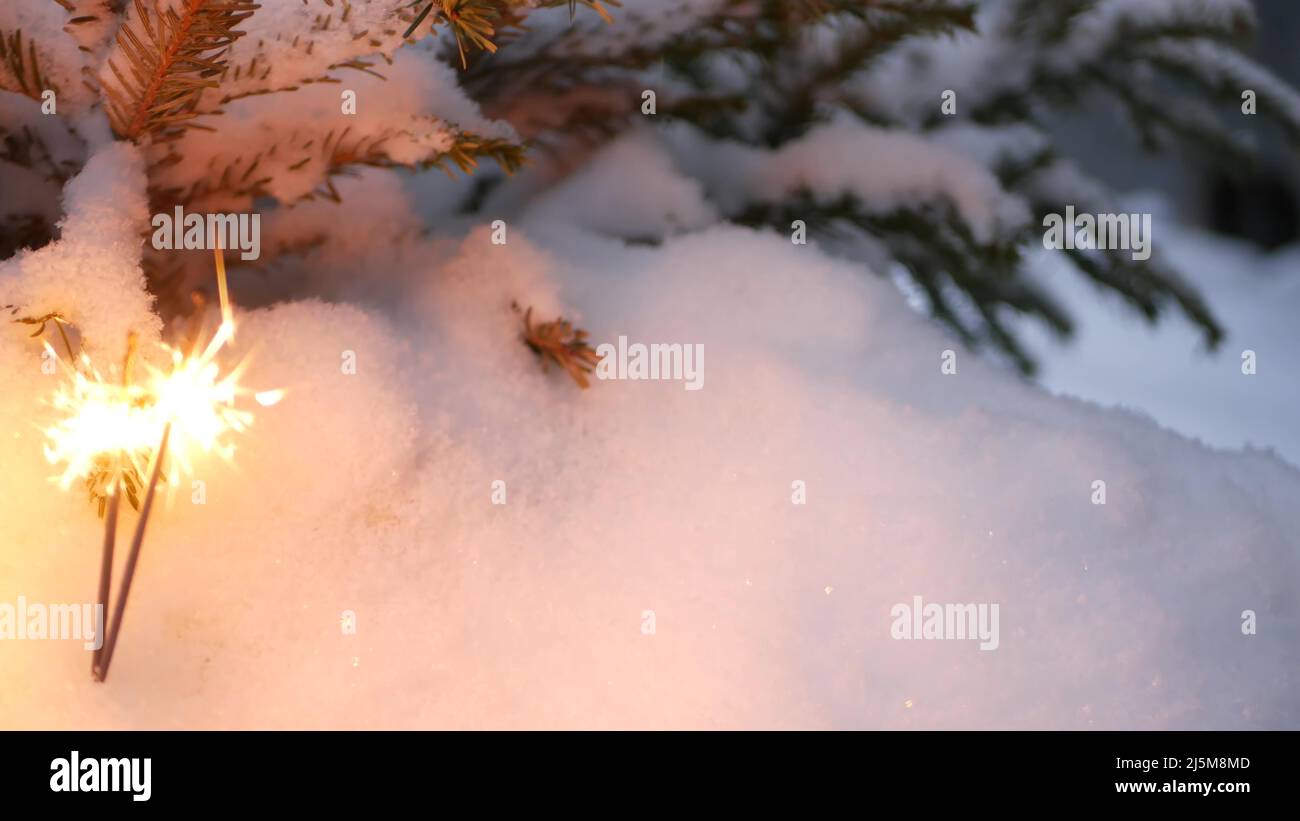 Christmas tree in snow, sparkler firework burning, New Year or Xmas ...