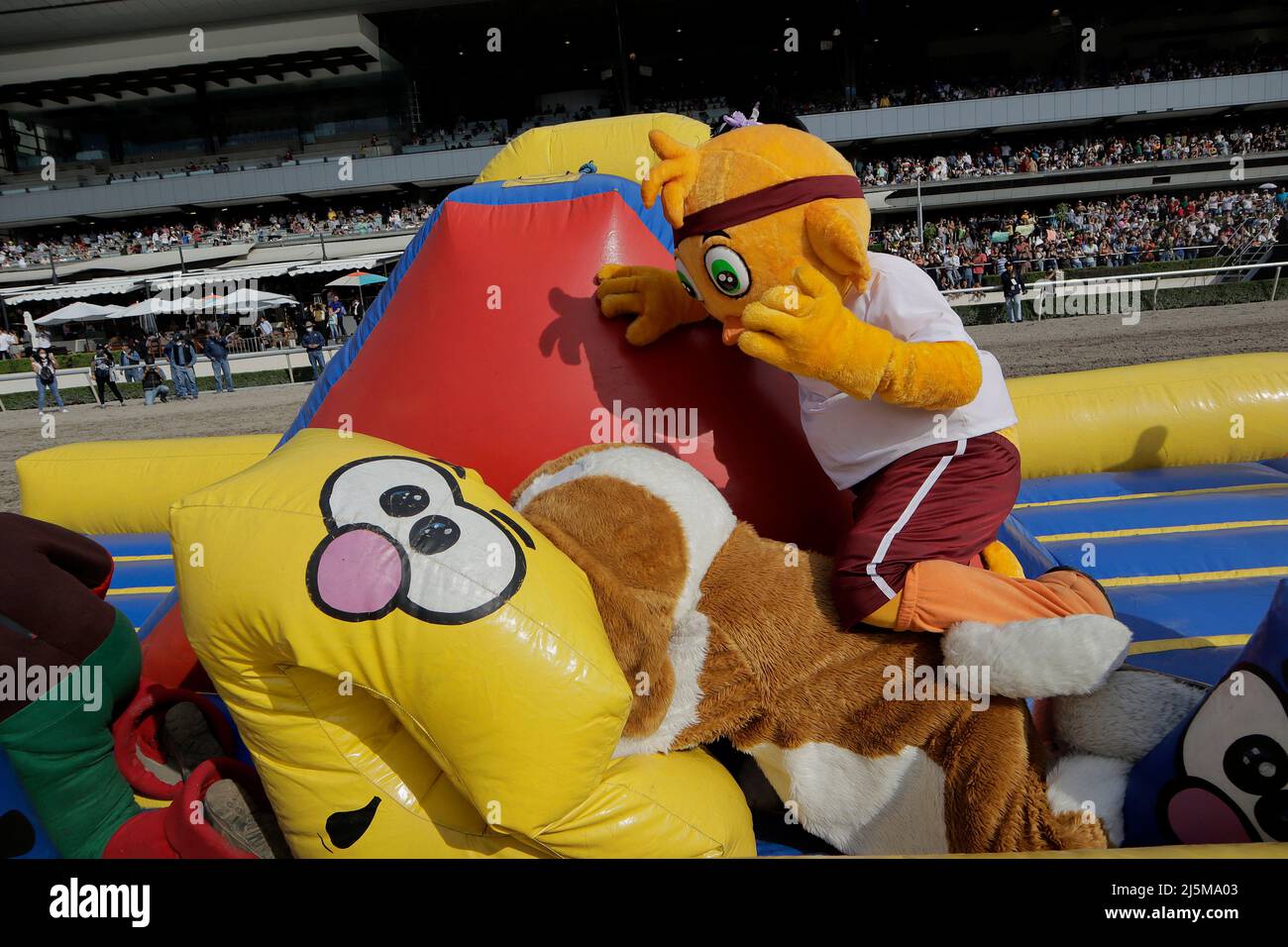 Human races mexico hi-res stock photography and images - Alamy