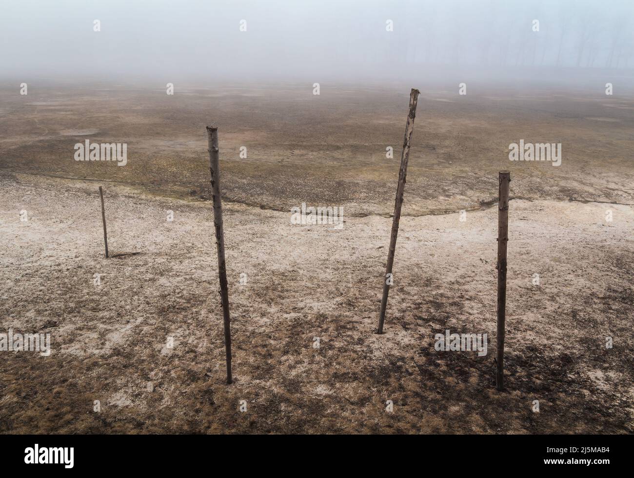 Wooden stick in sand dry pond ground under misty fog. Apocalyptic ...