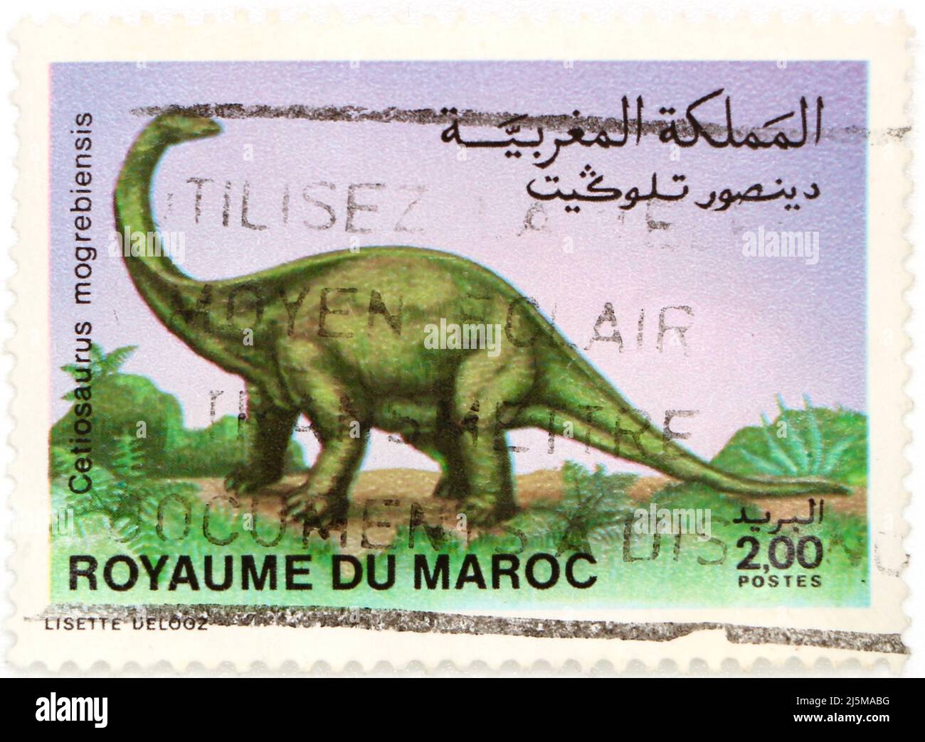 Photo of a Moroccan postage stamp with an illustration of a cetiosaurus ...