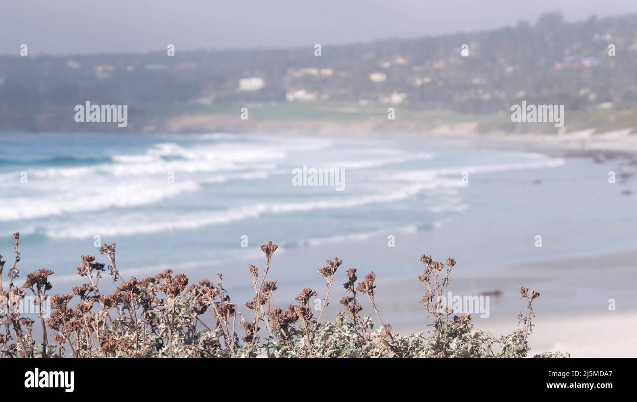 Empty ocean sandy beach in Carmel, Monterey bay nature, California ...