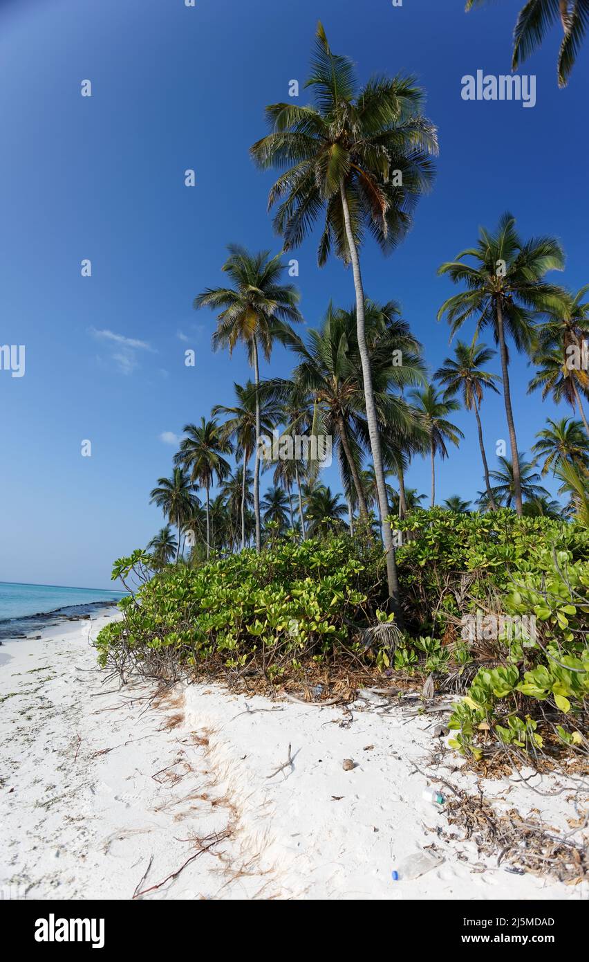 Bangaram island, Lakshadweep, India. Natural beauty of the island with ...