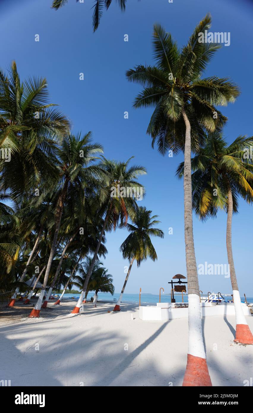 Bangaram island, Lakshadweep, India. Natural beauty of the island with ...