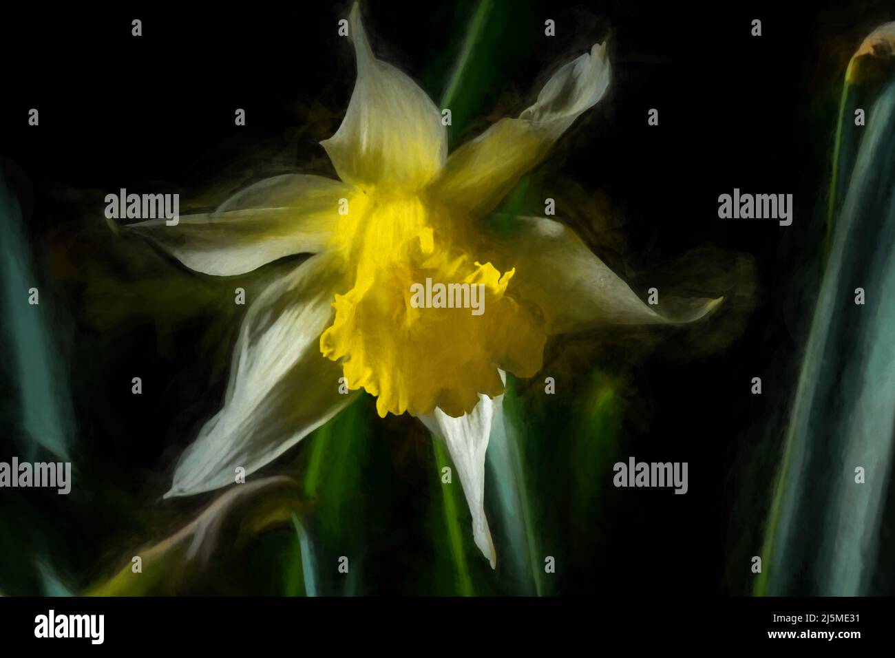 High resolution digital abstract oil painting of a beautiful single ...