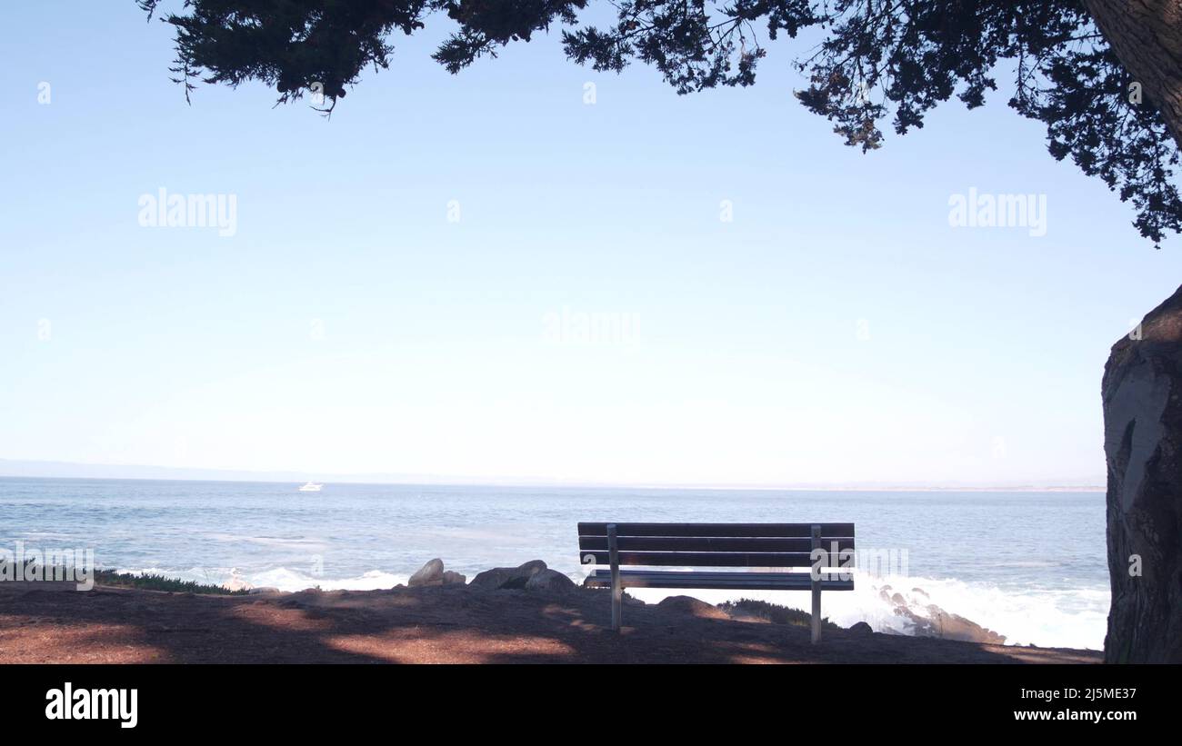 Ocean beach, empty bench on shore under pine cypress tree, sea water ...