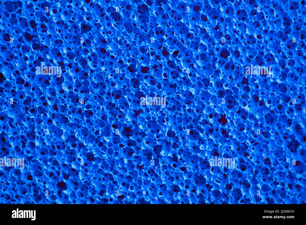 Skin surface microscopy hi-res stock photography and images - Alamy
