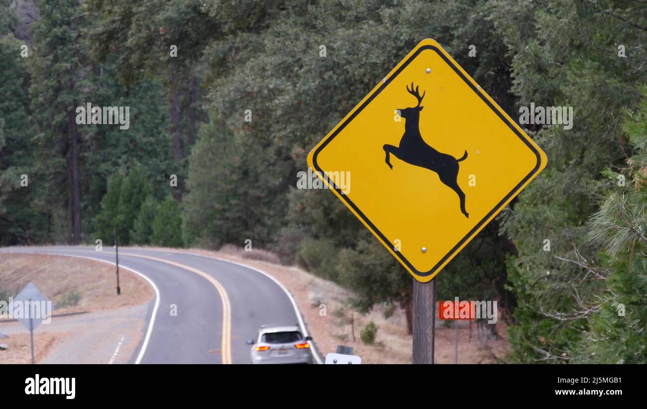 Deer crossing warning yellow sign, California USA. Wild animals xing ...