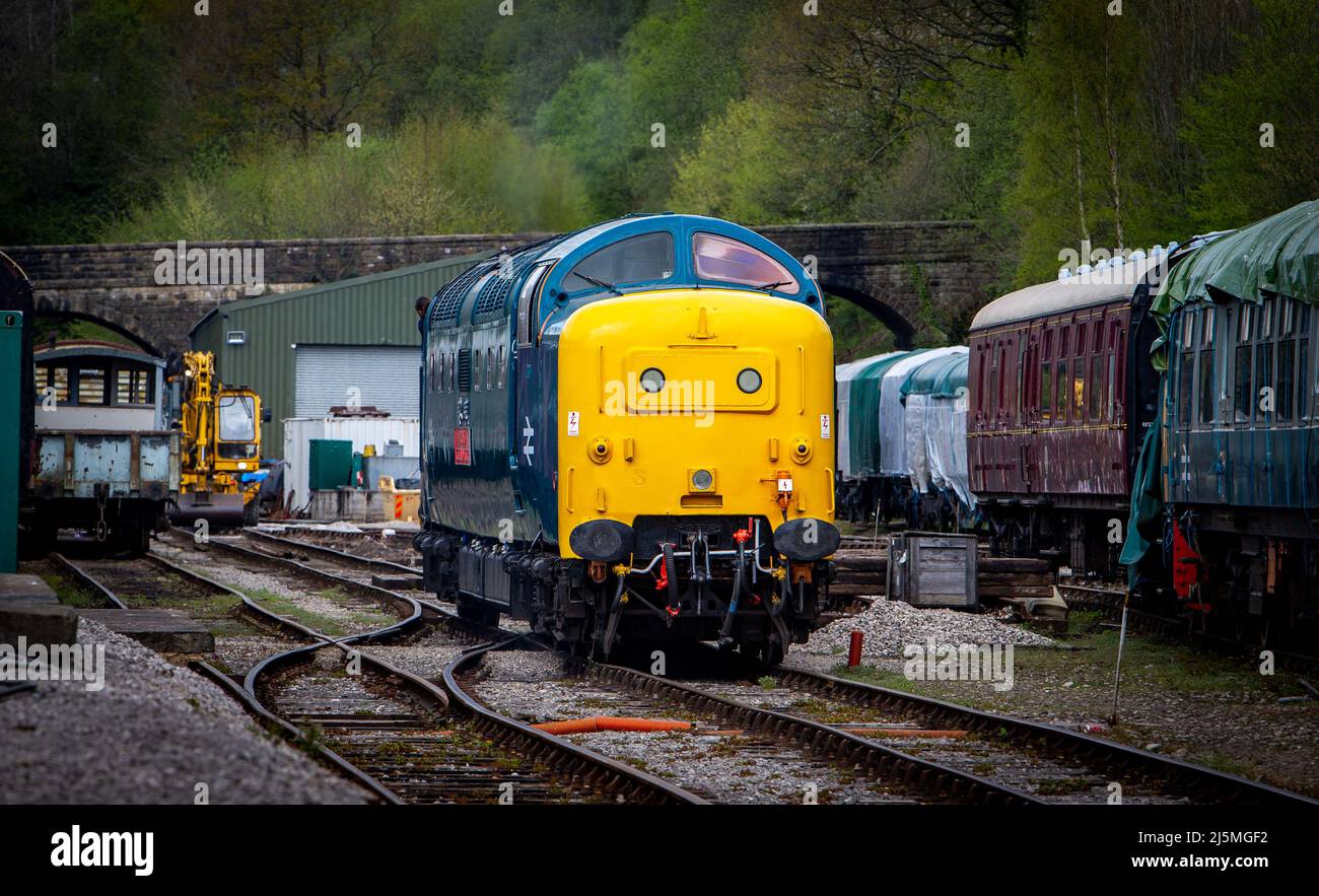 Former BR Class 55 "Deltic", 55019 named "Royal Highland Fusilier ...