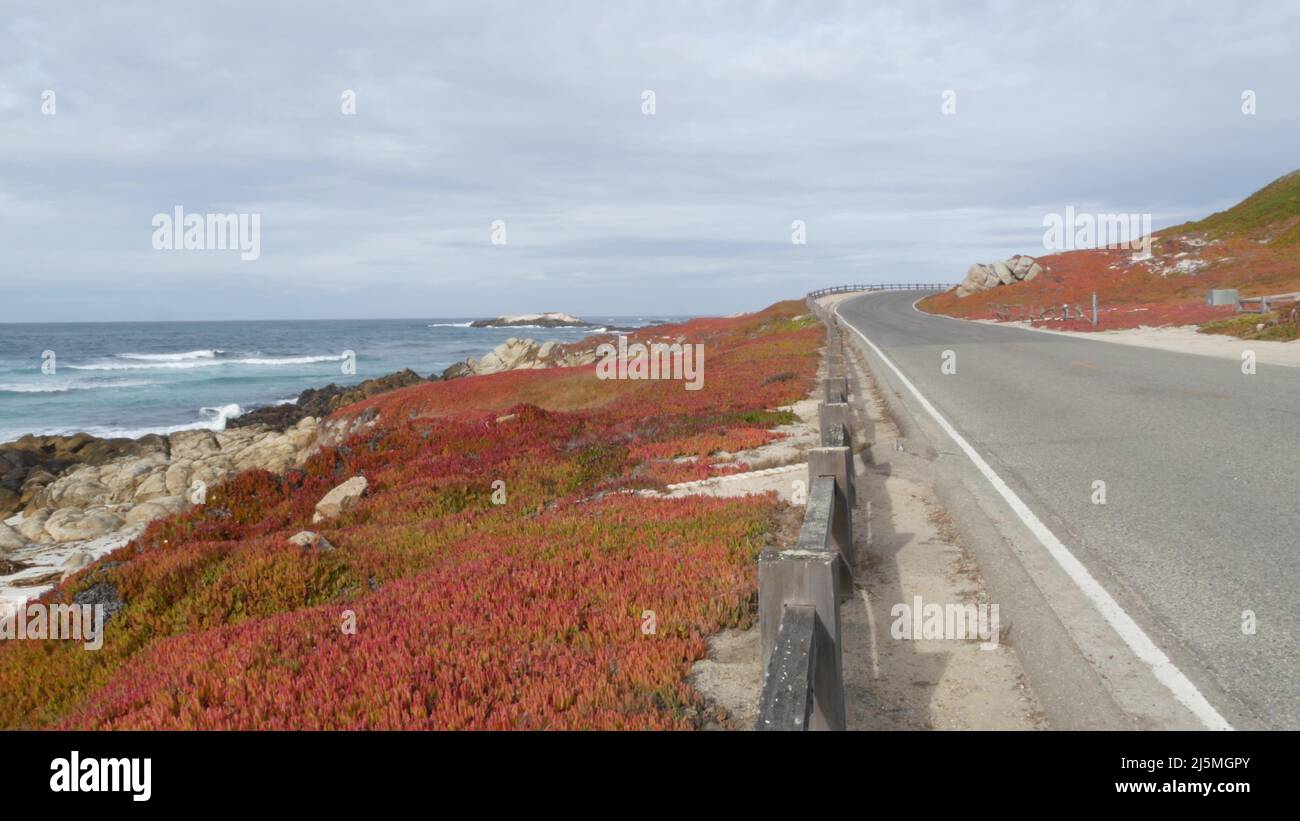 17-mile drive scenic road, Monterey California USA. Trip along ocean ...