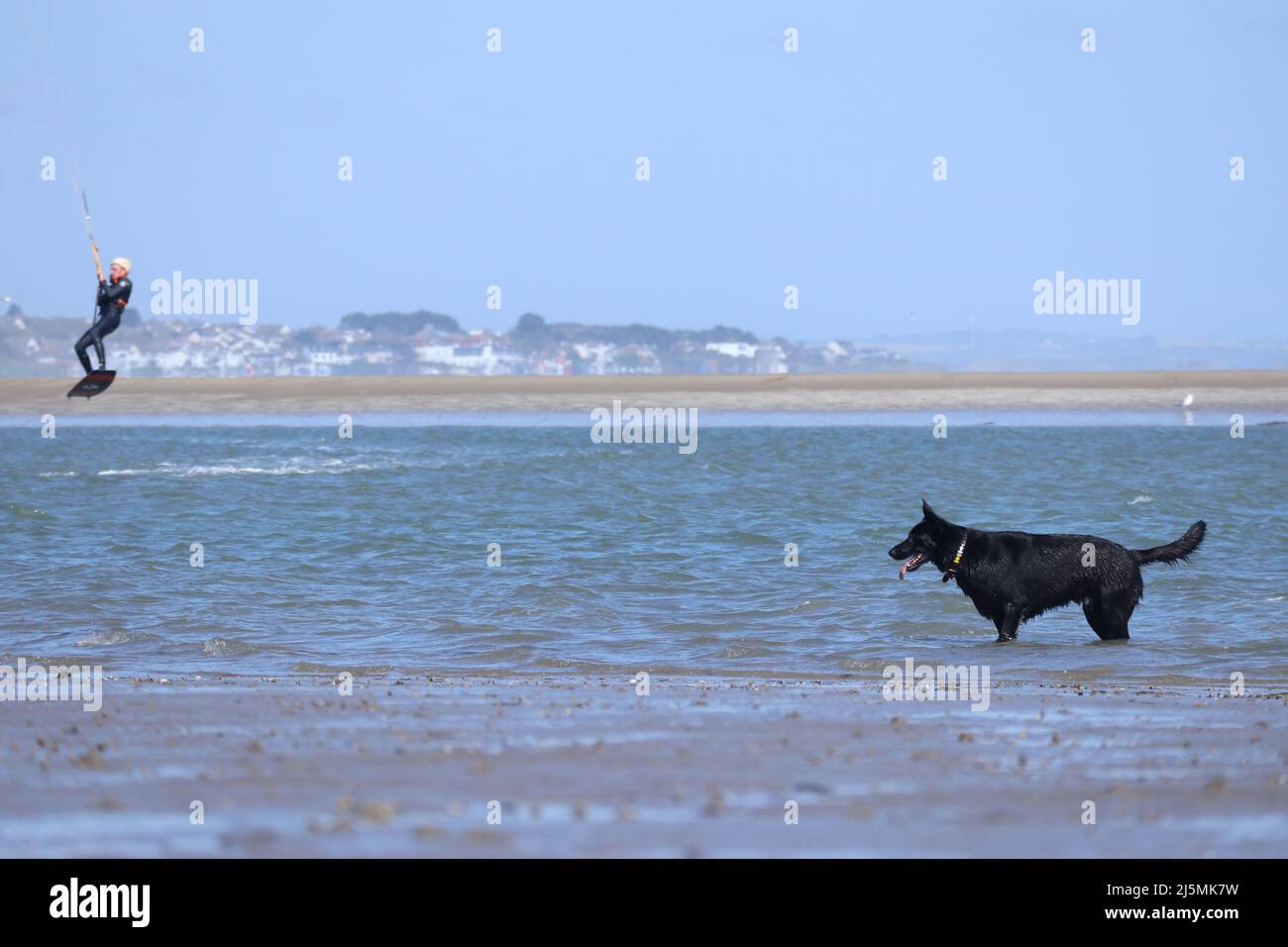 Ireland kitte surfing sutton beach Stock Photo - Alamy
