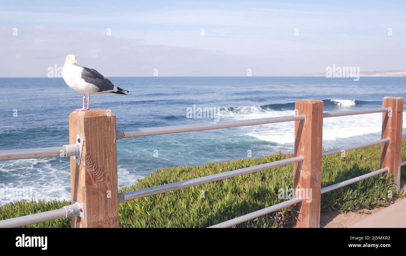 Ocean waves crashing on beach, sea water surface from above, cliff or ...