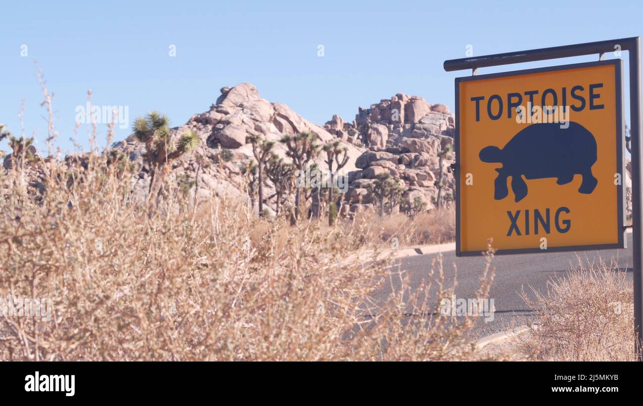 Tortoise warning road sign hi-res stock photography and images - Alamy