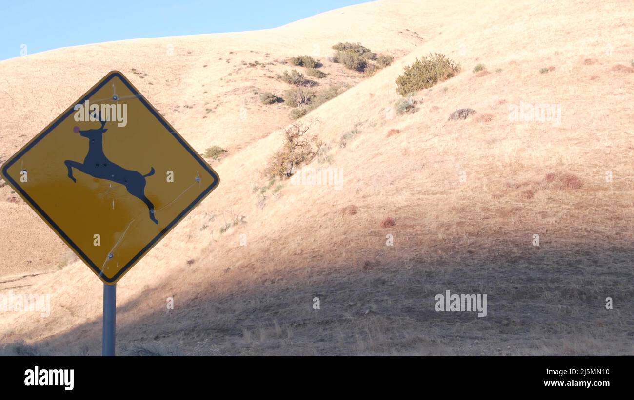 Deer crossing warning yellow sign, California USA. Wild animals xing ...