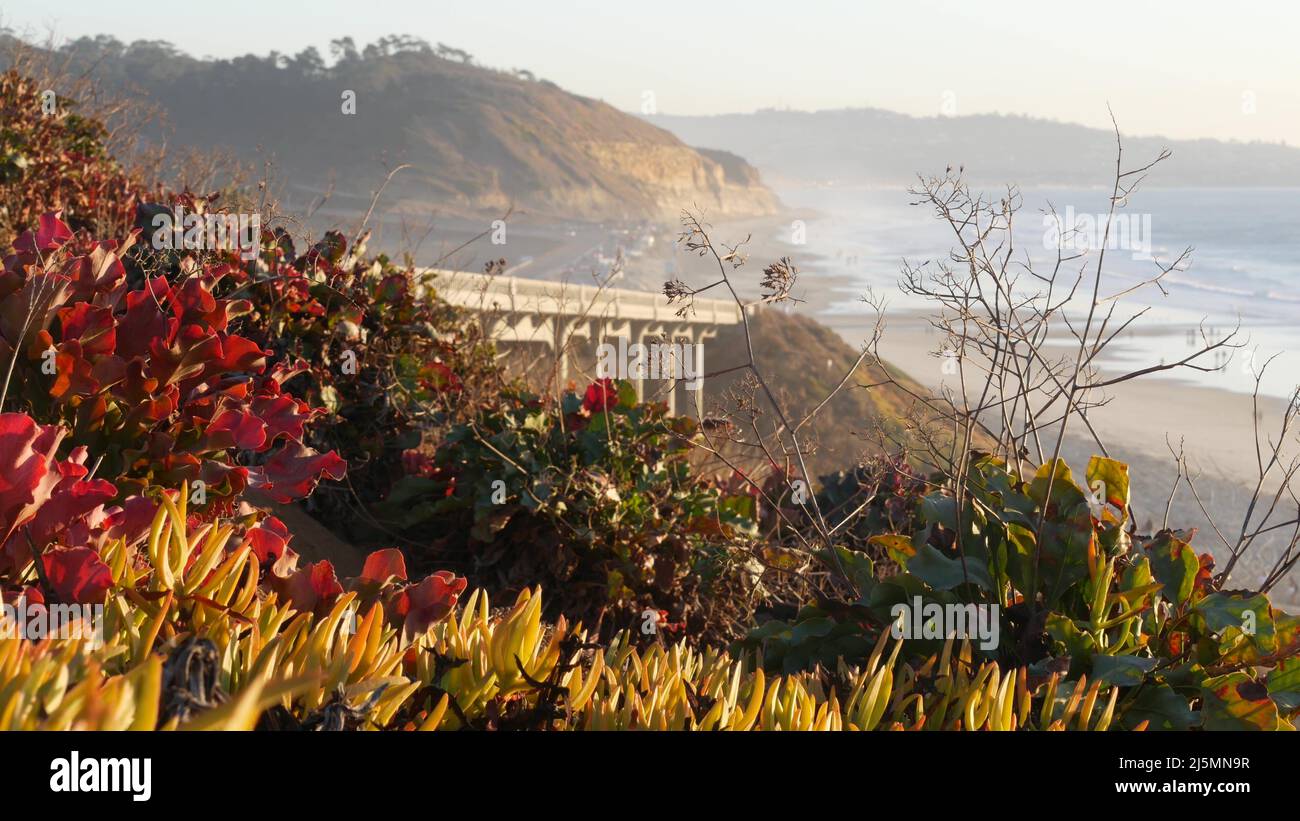 Bridge on pacific coast highway 1, Torrey Pines state beach, Del Mar ...