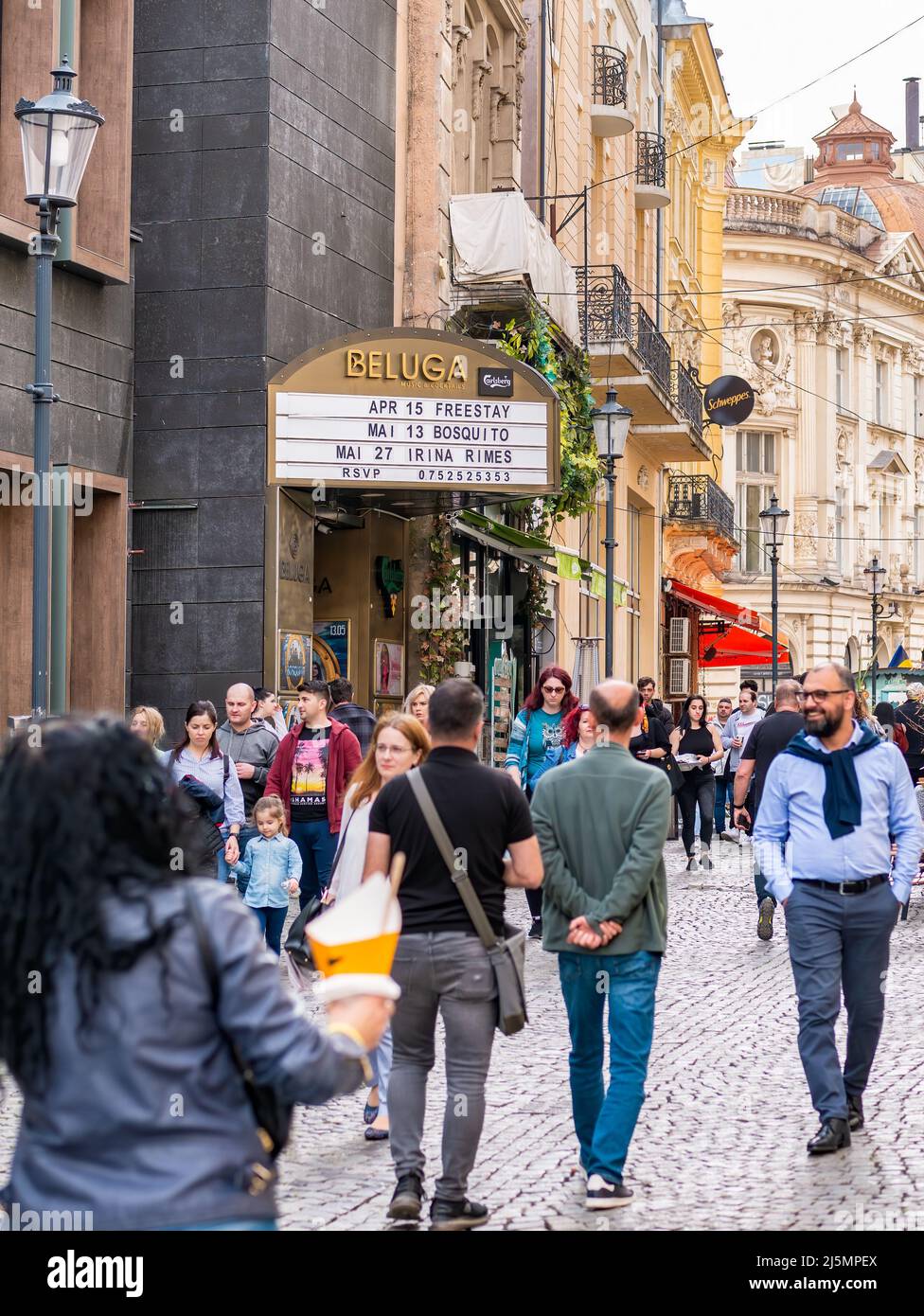 Beluga restaurant hi-res stock photography and images - Alamy