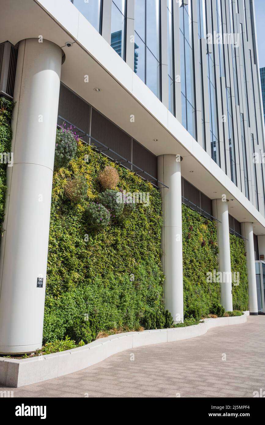 Modern office block development in London with a living wall. Soothing ...