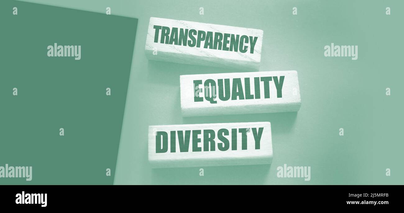 Transparency Equality diversity words on long wooden blocks on black ...