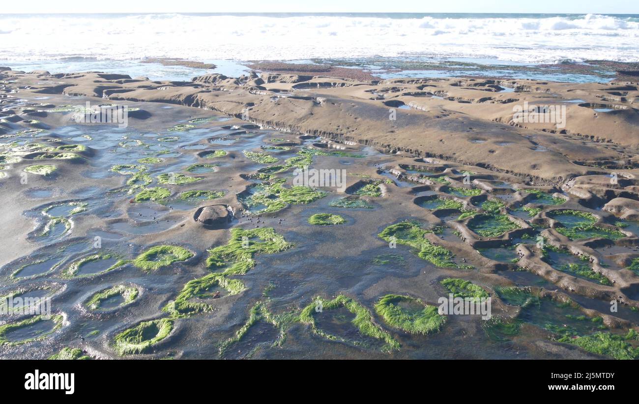 Eroded rock formation, tide pool in La Jolla, California coast, USA ...