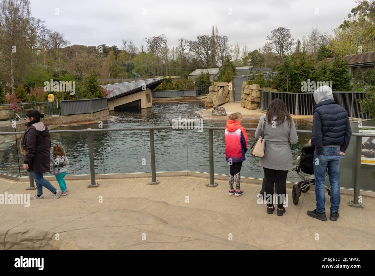 Dublin / Ireland: Dublin Zoo animals in captivity Stock Photo - Alamy