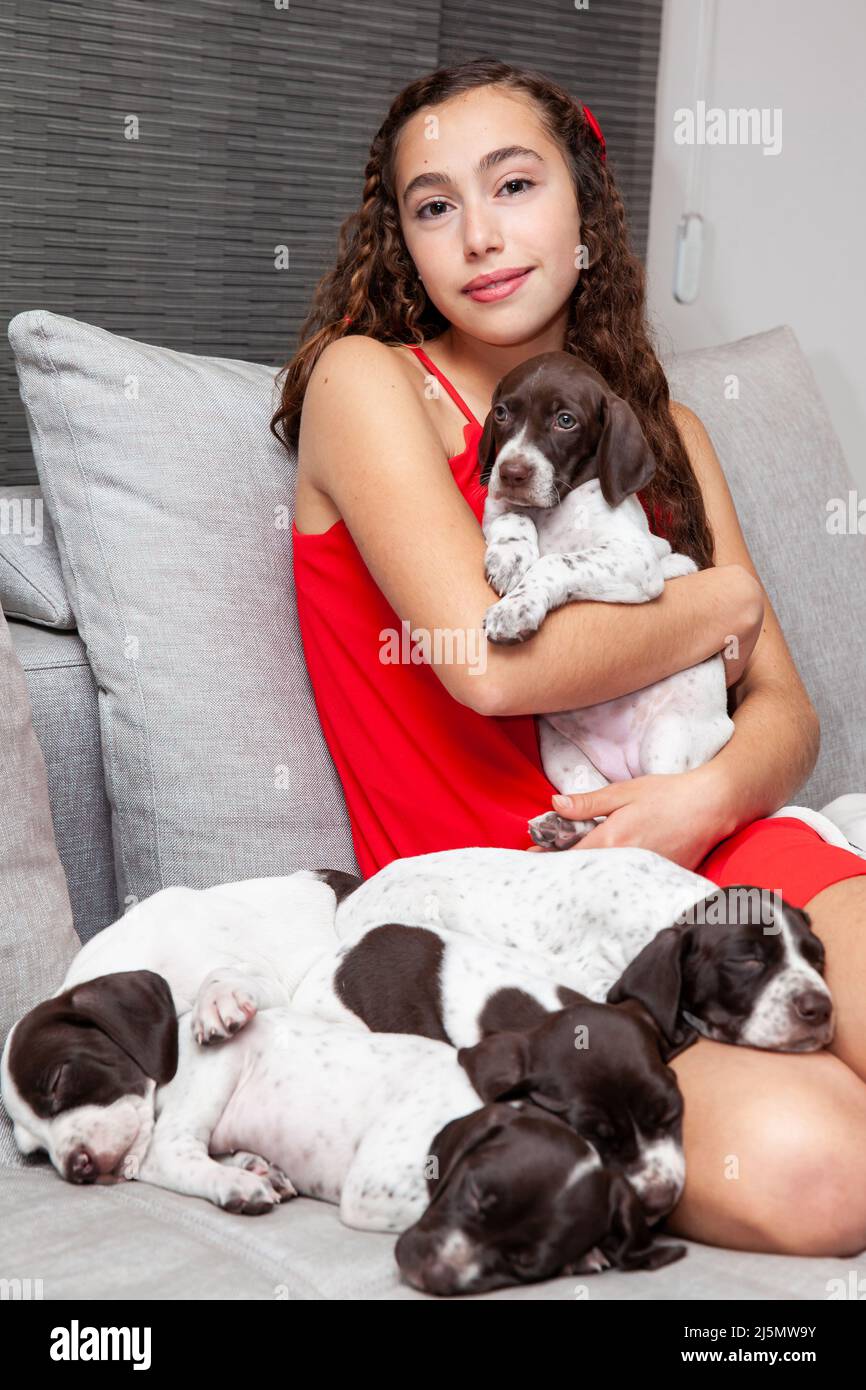 Beautiful young girl dressed in red with her small French Braque puppy ...
