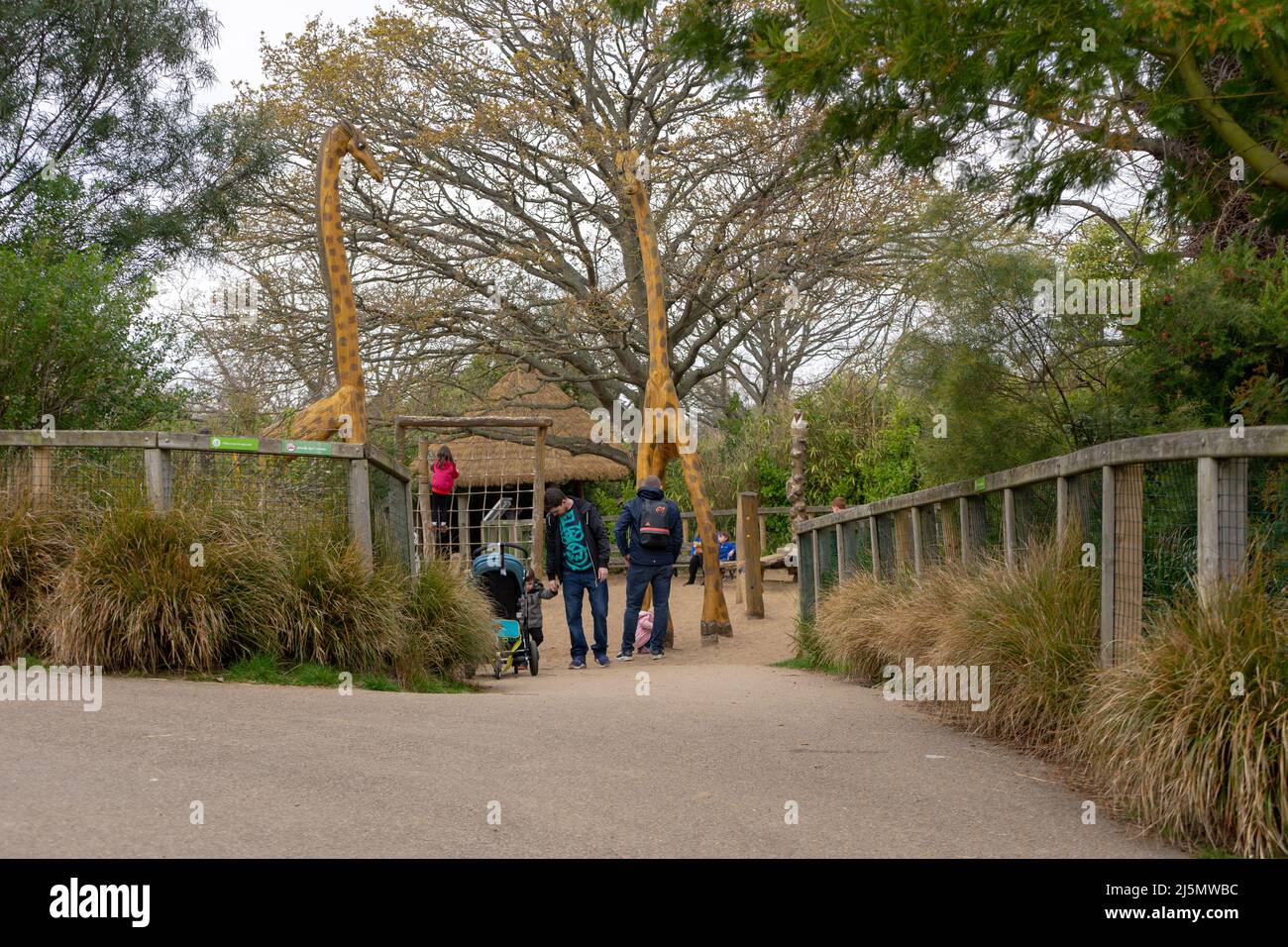 Dublin / Ireland: Dublin Zoo animals in captivity Stock Photo - Alamy